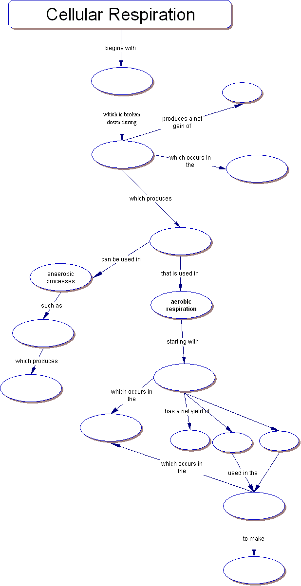 Concept Map Cellular Respiration Concept Map Cellular Respiration